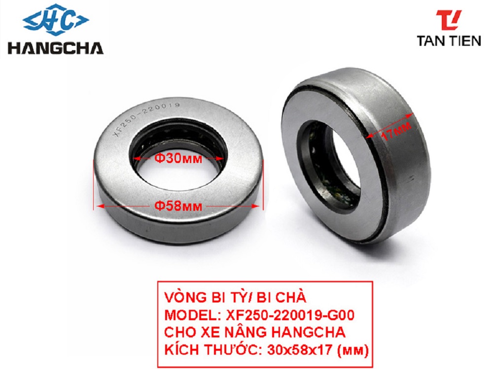 Vòng Bi Xe Nâng | Bạc Đạn Khung Nâng | Vòng Bi WANDA